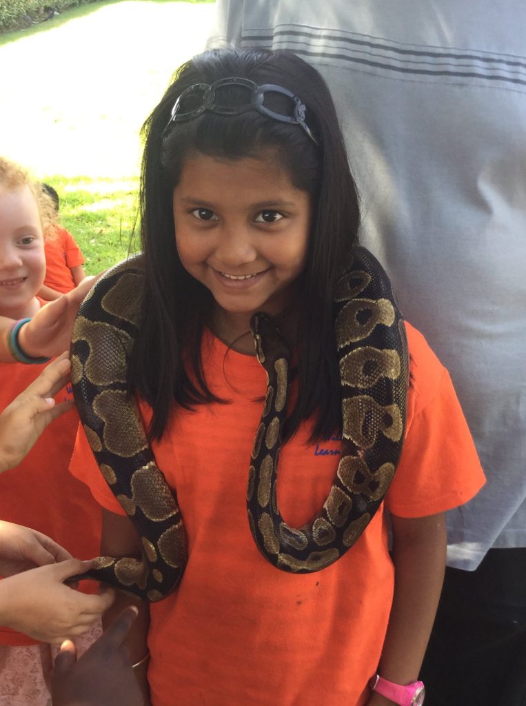 Best Summer Camp Programs | Willow Bend Learning Center